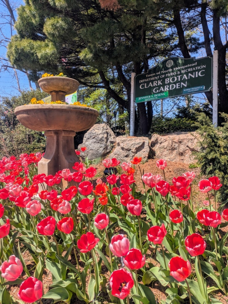 롱아일랜드 공원, Clark Botanical Gardens, Albertson, NY : 네이버 블로그