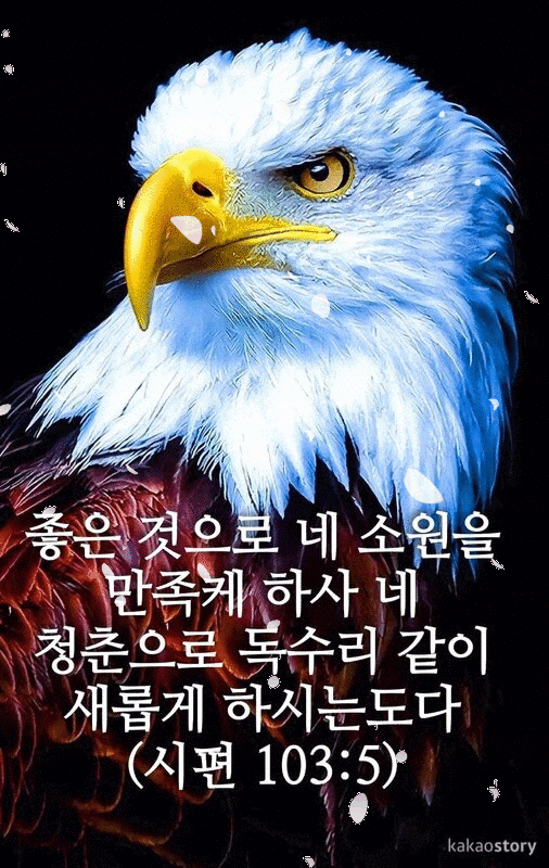 자기 아들을 아끼지 아니하시고 우리 모든 사람을 위하여 내주신 이가 어찌 그 아들과 함께 모든 것을 우리에게 주시지 아니하겠느냐