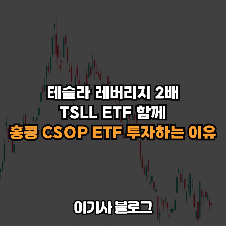 테슬라 레버리지 2배 TSLL ETF 함께 홍콩 CSOP ETF 투자하는 이유 : 네이버 블로그