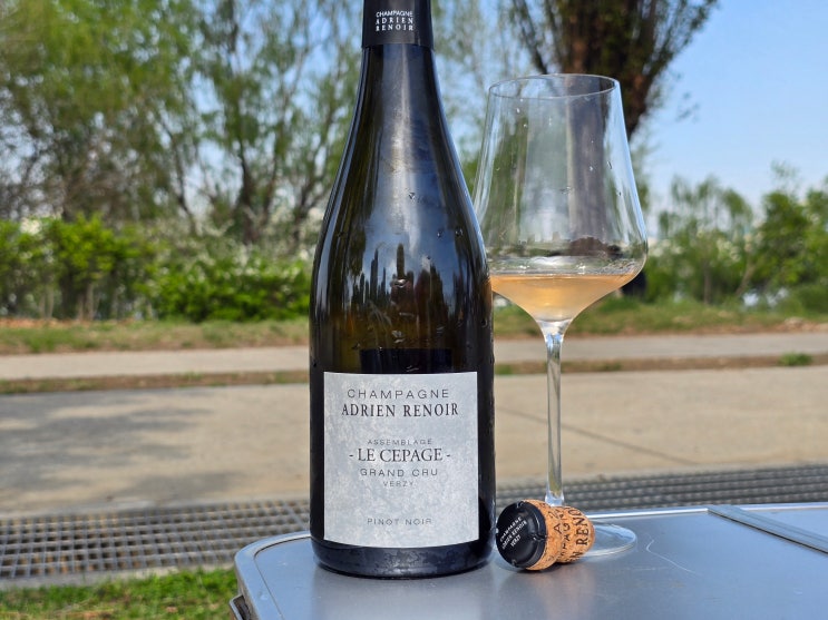 Adrien Renoir Le Cepage Verzy Grand Cru Extra Brut / 아드리앙 르누아르 르 세파쥬 ...