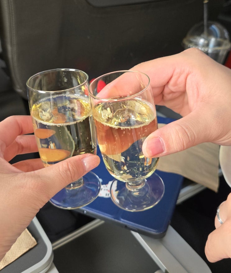 시드니-인천 젯스타 비즈니스 후기 (jetstar, JQ47) : 네이버 블로그