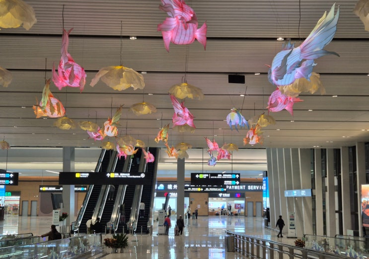 20250412 중국 사천성 성도(청두), 구채구 여행 (1일~2일째) : 네이버 블로그