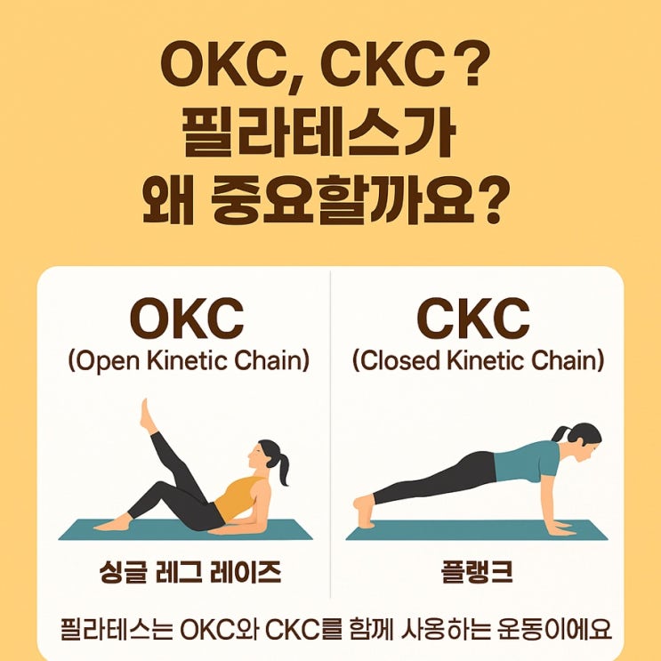 OKC vs CKC(열린 사슬 운동 vs 닫힌 사슬 운동) / 운동 형상학적 사슬에 대해 알아보자! : 네이버 블로그