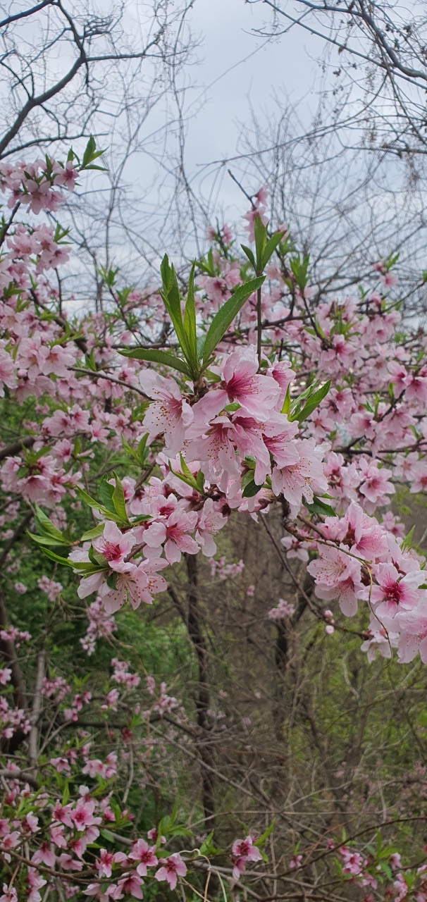 갈릴리로 가라 : 네이버 블로그