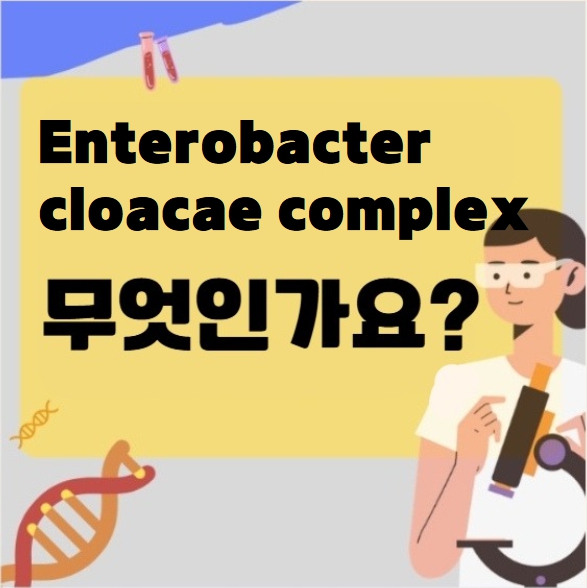 Enterobacter cloacae complex 엔테로박터 클로아카 복합체 특징 분류 : 네이버 블로그