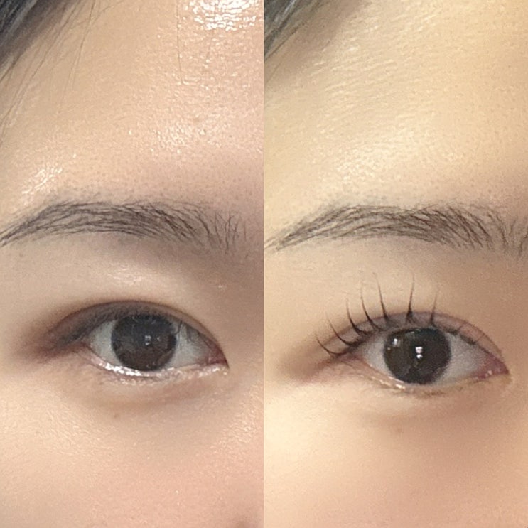 송파속눈썹펌 잘하는 그린뷰티살롱 스페셜클리닉펌 속눈썹펌 후 관리 네이버 블로그