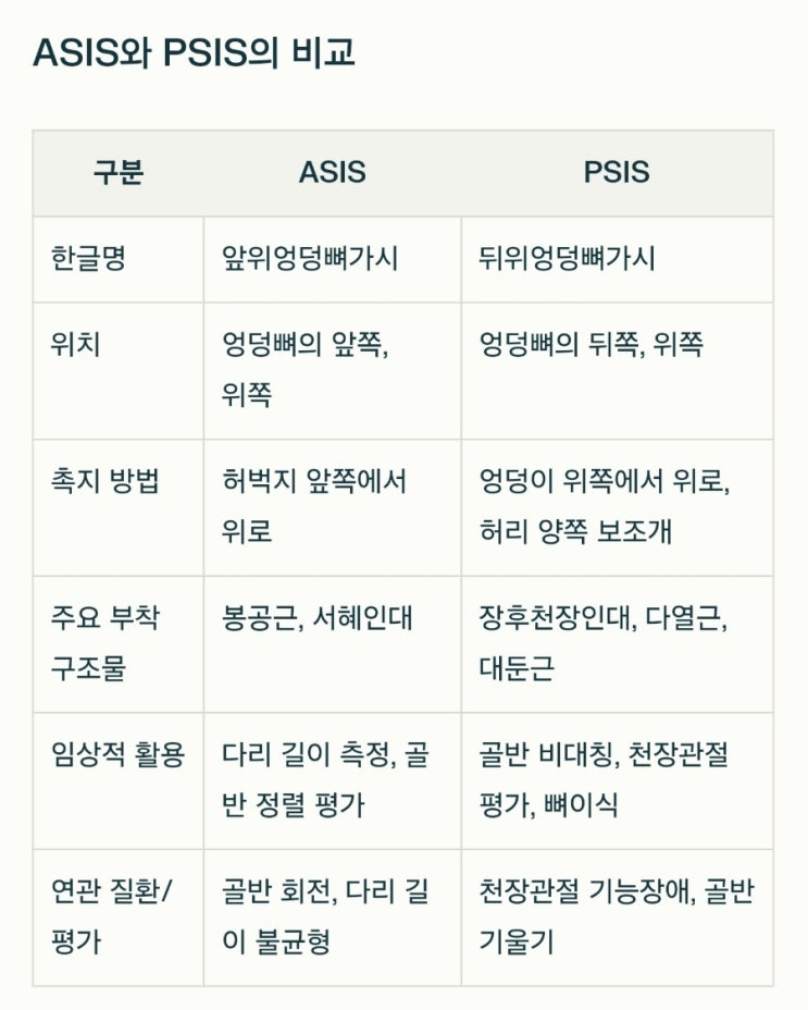 골반 해부학의 핵심! ASIS와 PSIS, 정확하게 찾는 방법과 전문가 팁 : 네이버 블로그