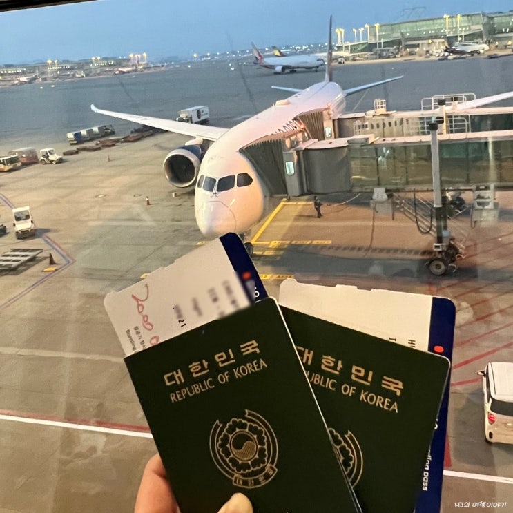 에어프레미아 다낭 YP6221 YP622 타본 후기 좌석 지연 결항 : 네이버 블로그