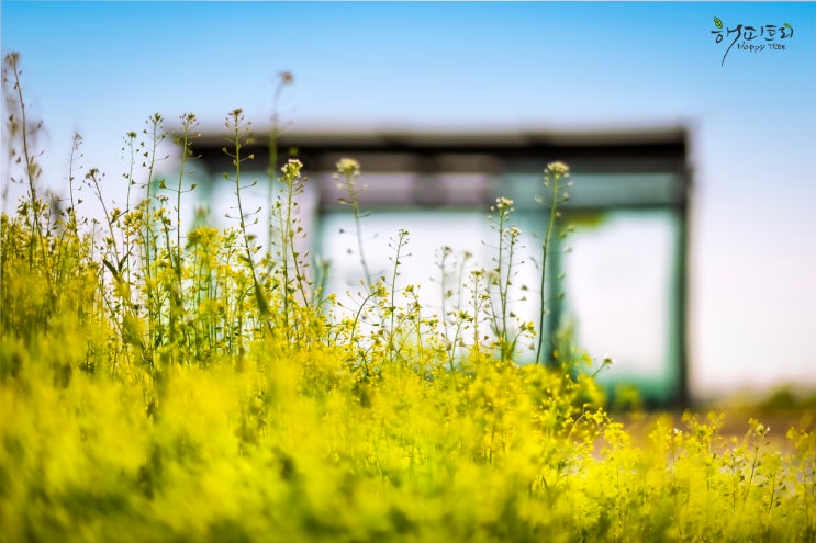 인천정서진 버스정류장앞에서 : 네이버 블로그