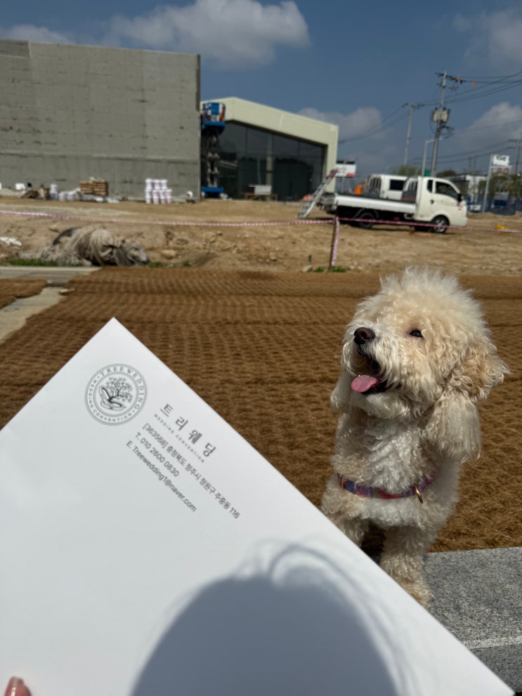 P의웨딩.1/내돈내산 청주 하이엔드 하우스웨딩 계약후기/견적공유 : 네이버 블로그