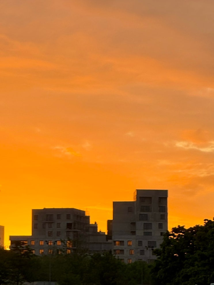 2025.04.23 (Wed) Wheather: Sunny : 네이버 블로그