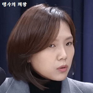 노은지 앵커, 기자의 프로필과 미모 근황 #채널A 정치시그널 : 네이버 블로그