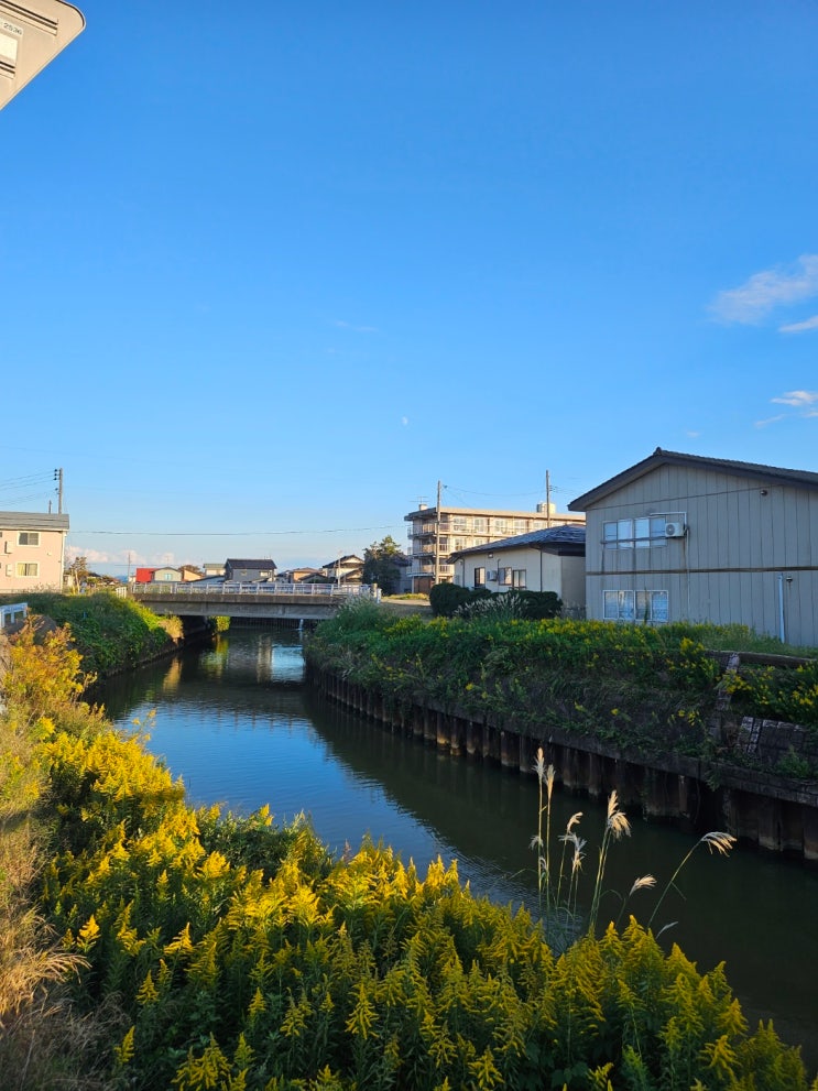 소띠운세 와 특징 혈액형으로 알아보기 : 네이버 블로그