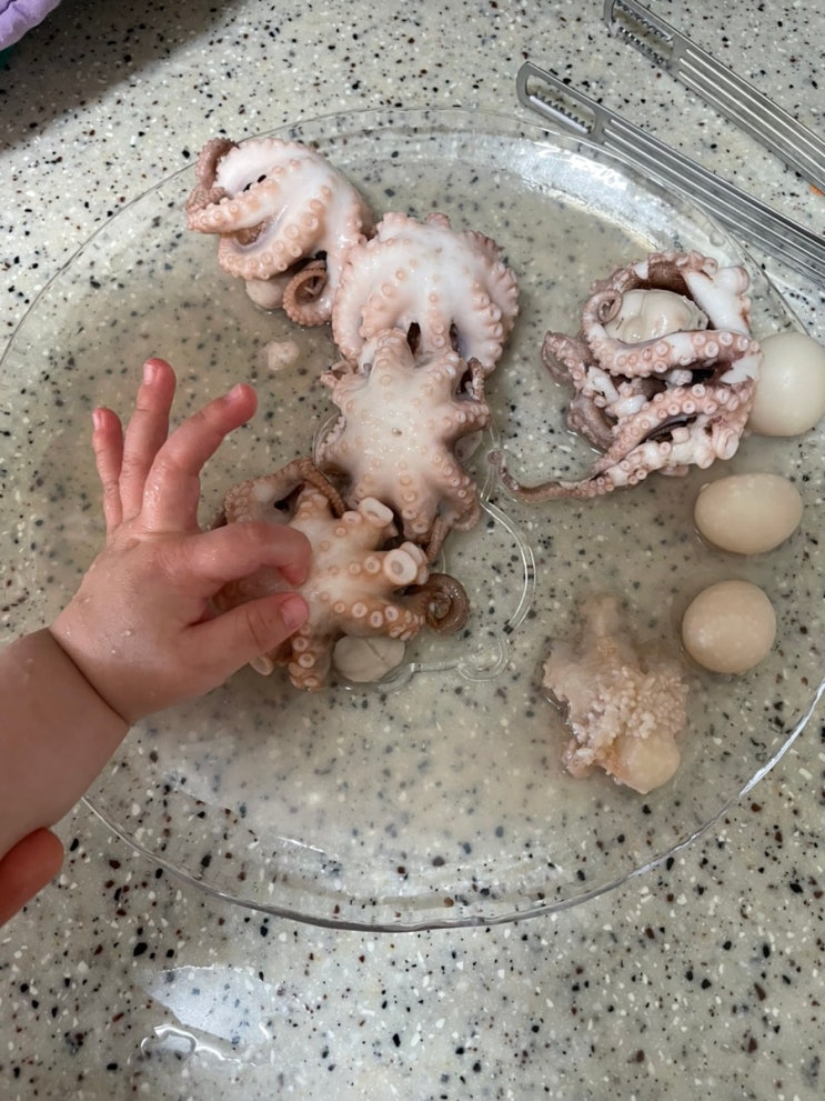 (11갤) 쭈꾸미 이유식?! : 네이버 블로그