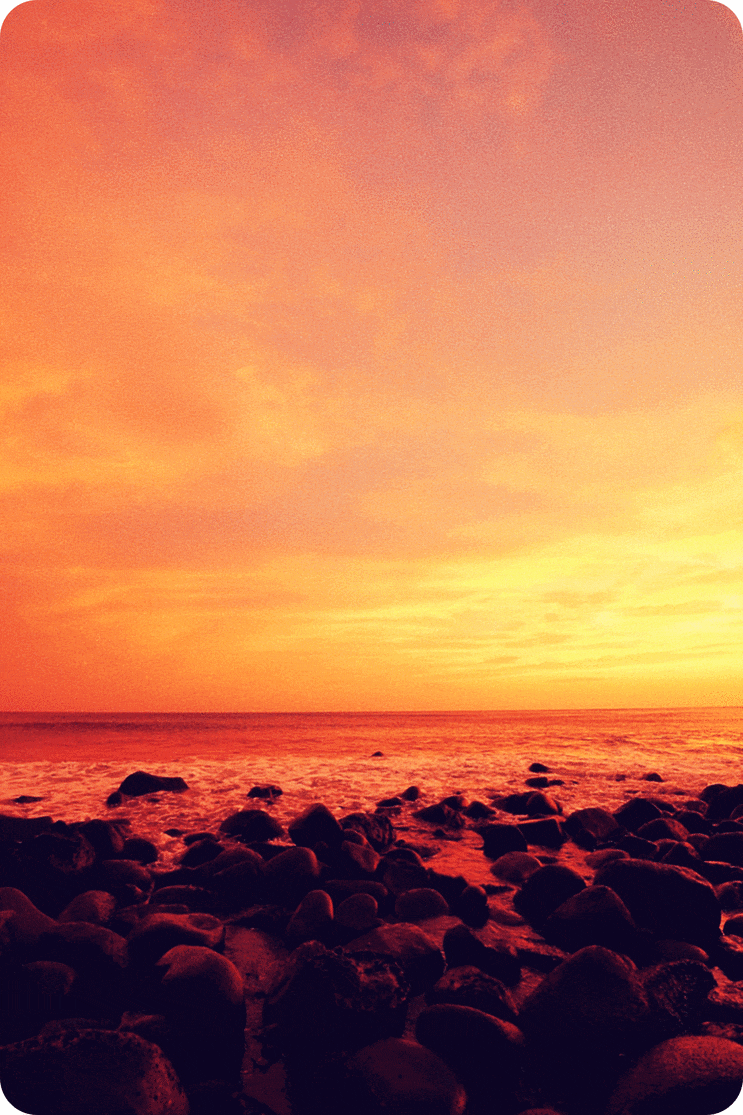 정보처리산업기사 데이터베이스 관리의 중요성과 실무 적용 : 네이버 블로그