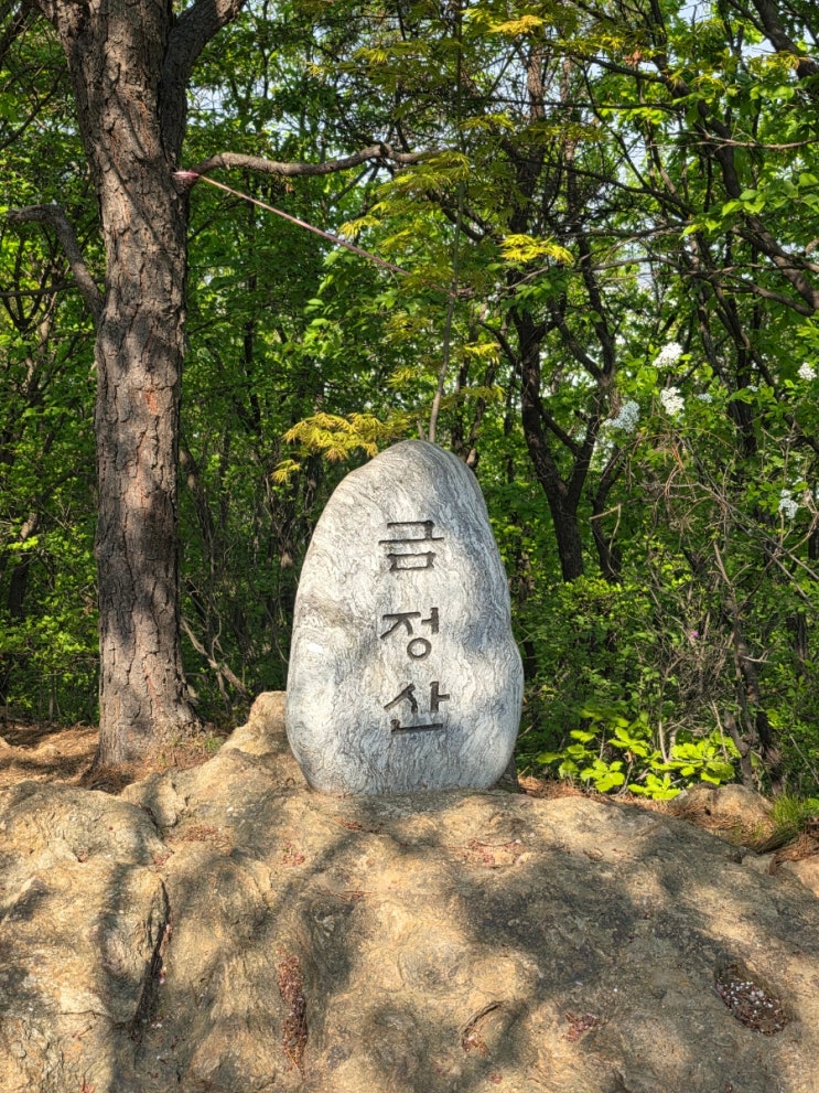 김포 금정산에 올랐습니다. : 네이버 블로그