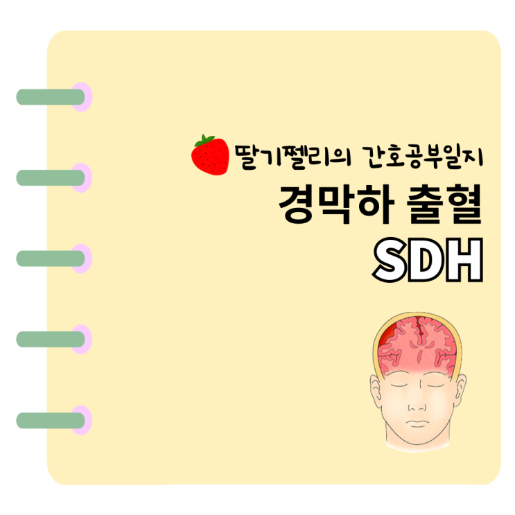 경막하 출혈 SDH| 의학용어 원인 증상 치료 : 네이버 블로그