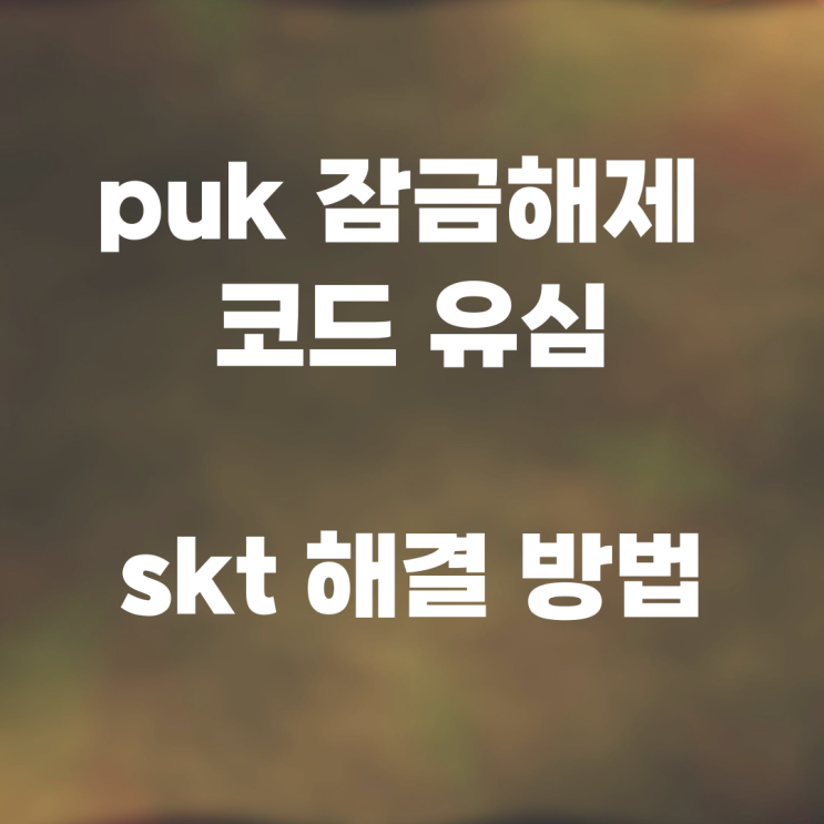 puk 잠금해제 코드 유심 skt 해결 방법 : 네이버 블로그