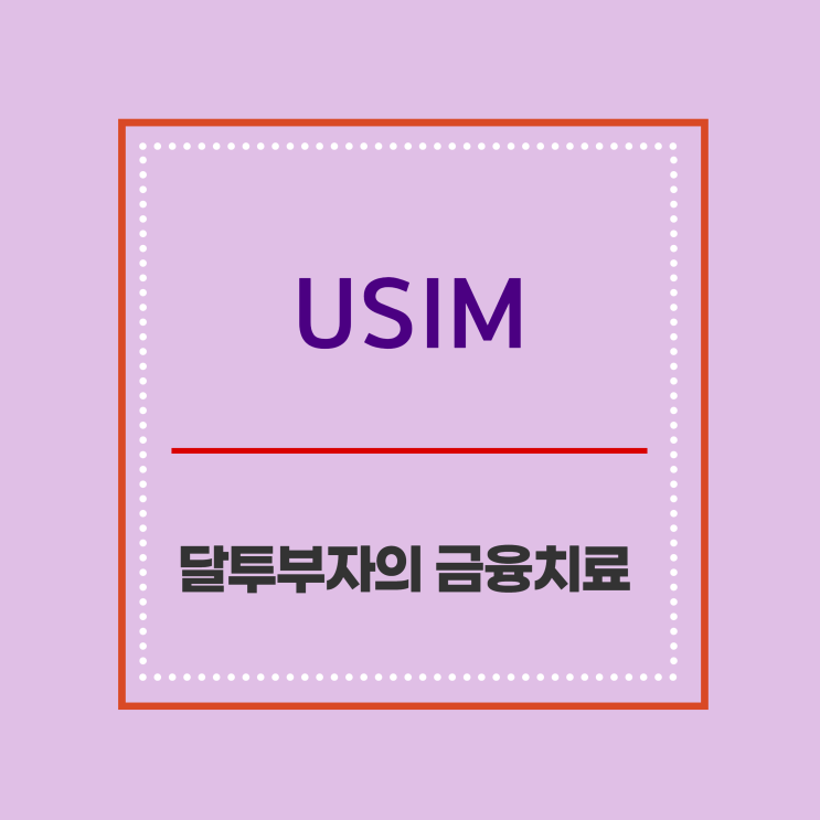 SKT USIM 관련종목 정리 : 네이버 블로그