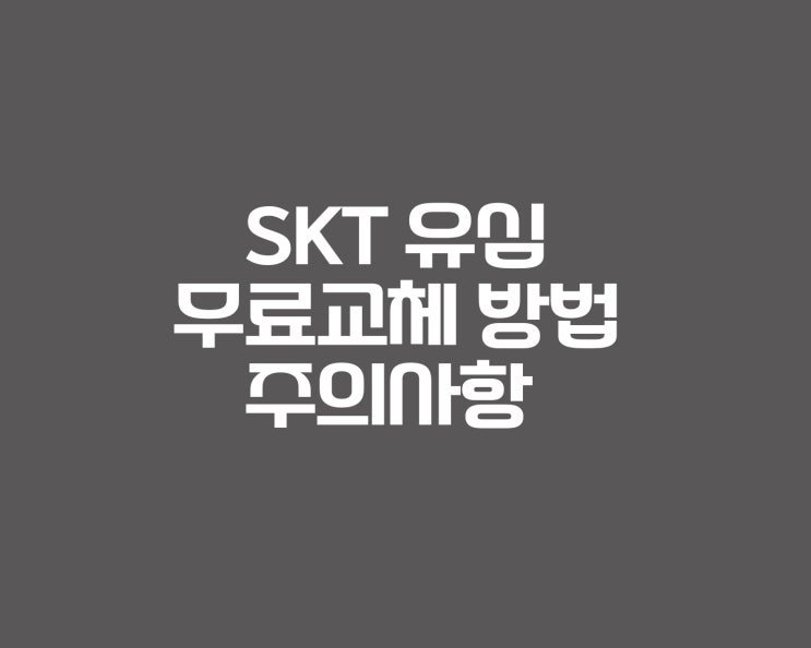 SKT 유심(USIM) 무료 교체 방법 완벽 정리 : 네이버 블로그