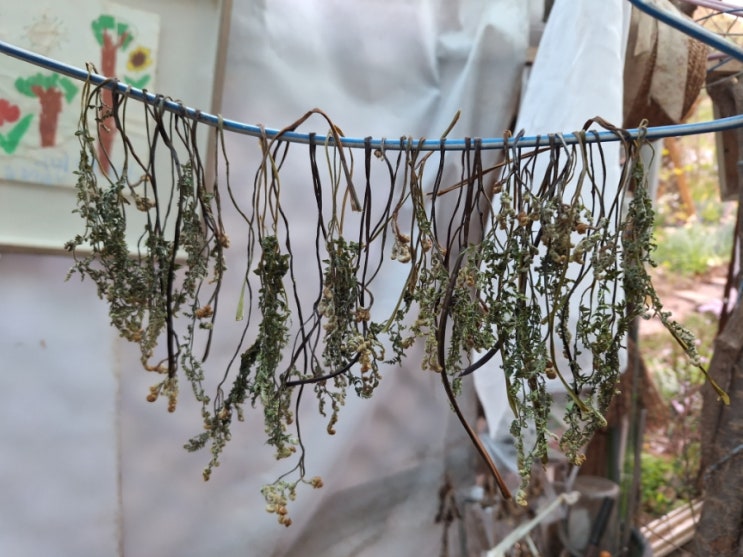 겨울준비^^ : 네이버 블로그