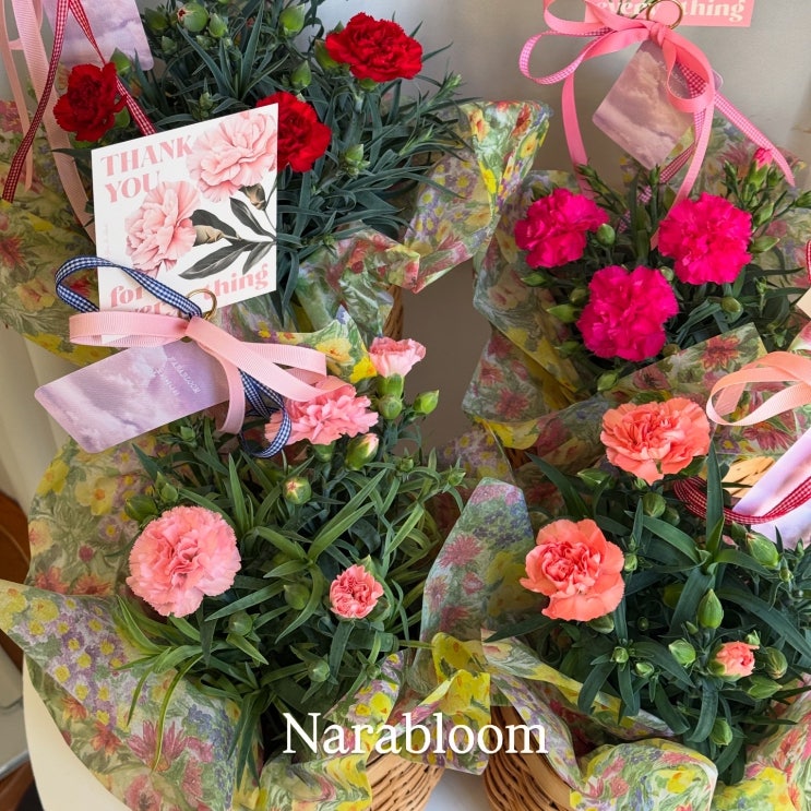 [꽃피어나라 NARABLOOM]🎀어버이날 한정 카네이션 포트 바구니🎀 : 네이버 블로그