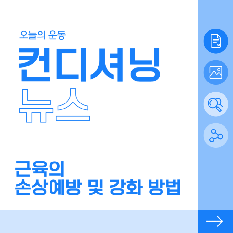 [근육] 치골미골근(Pubococcygeus Muscle) : 네이버 블로그