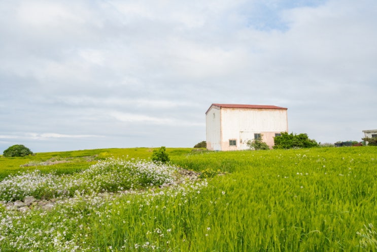 섬여행 전문가가 말하는 대한민국 섬 BEST 20 : 네이버 블로그