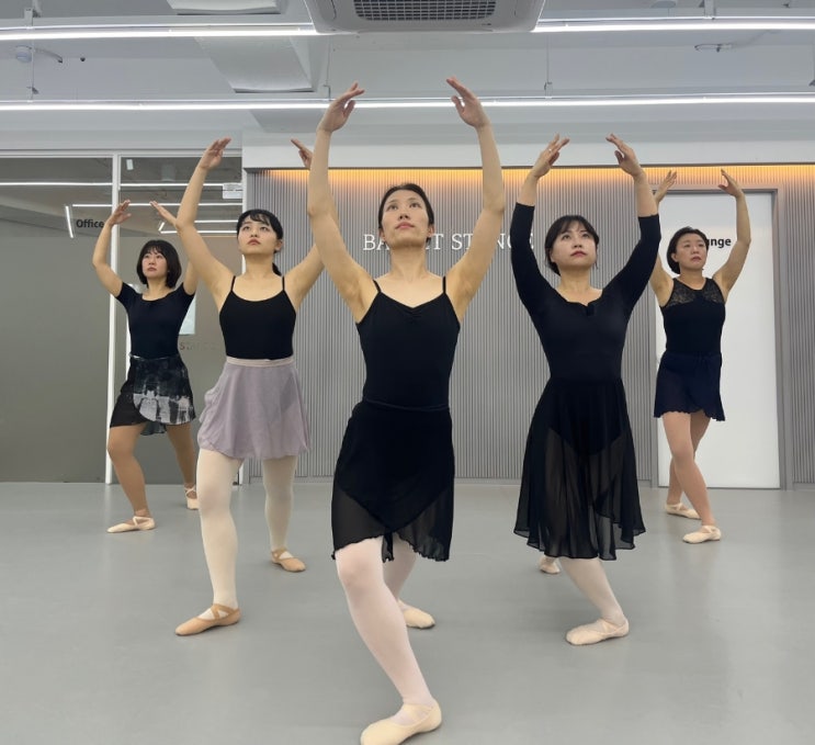 Ballet stance와 함께하는 설레발레 페스티벌 : 네이버 블로그
