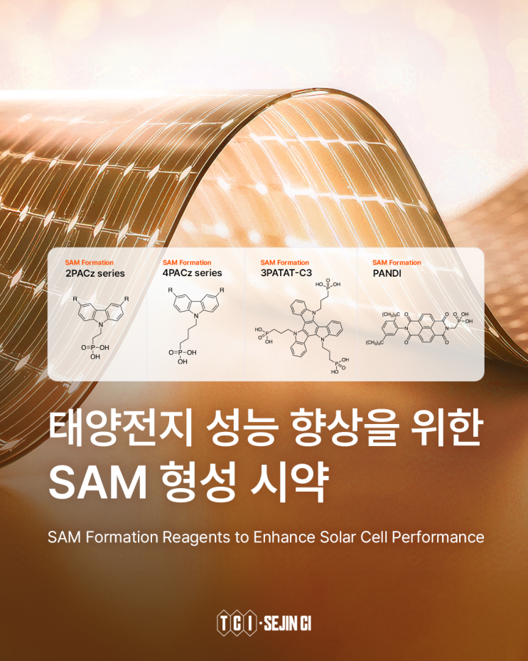 SAM Formation Reagents to Enhance Solar Cell Performance, 태양전지 성능 향상을 ...