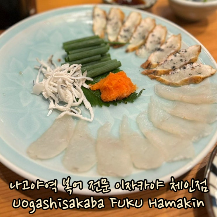나고야 새벽에 달리기 좋은 복어요리 이자카야 체인점 술집 / Uogashisakaba FUKU Hamakin (Nagoya ...