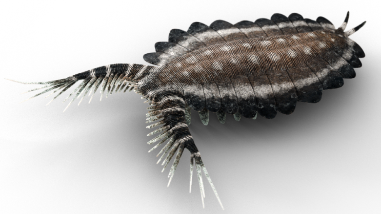 고대동물종류 고생대생물 매우 혐오스럽게 생긴 고대생물 팜브델루리온 : 네이버 블로그