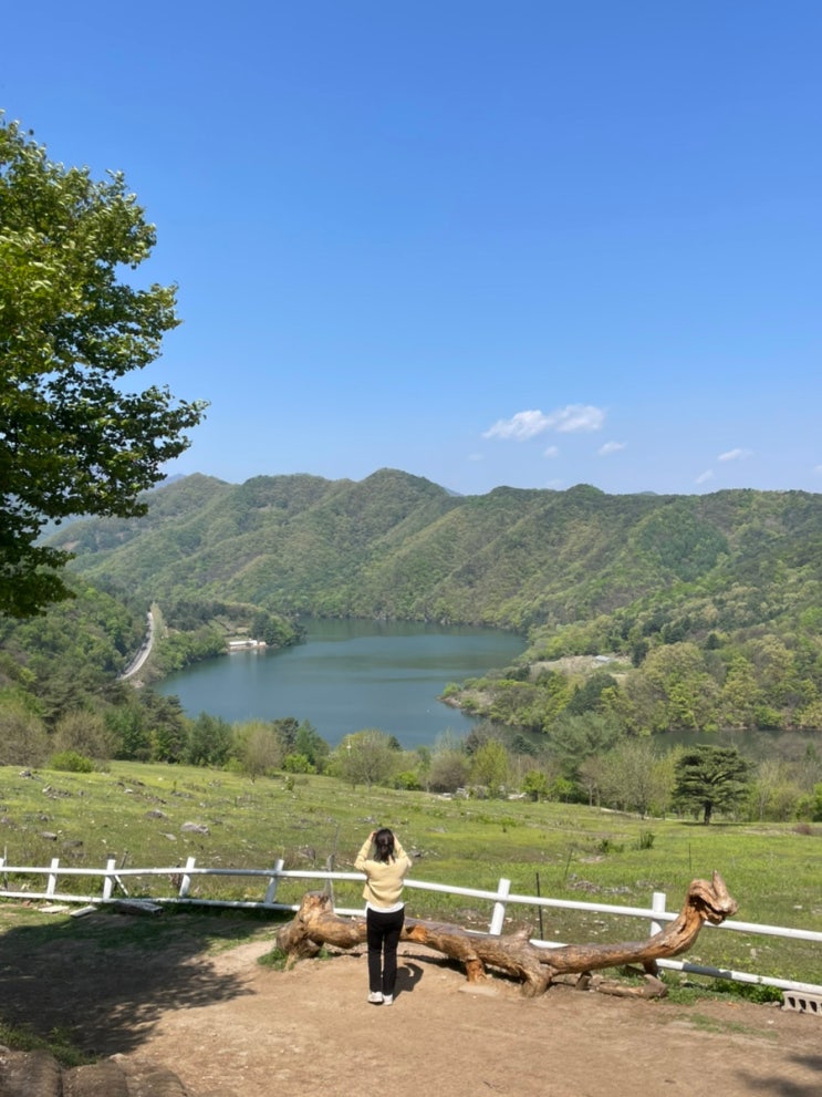 춘천 해피초원목장 뚜벅이 여행 대중교통 가는 법 : 네이버 블로그