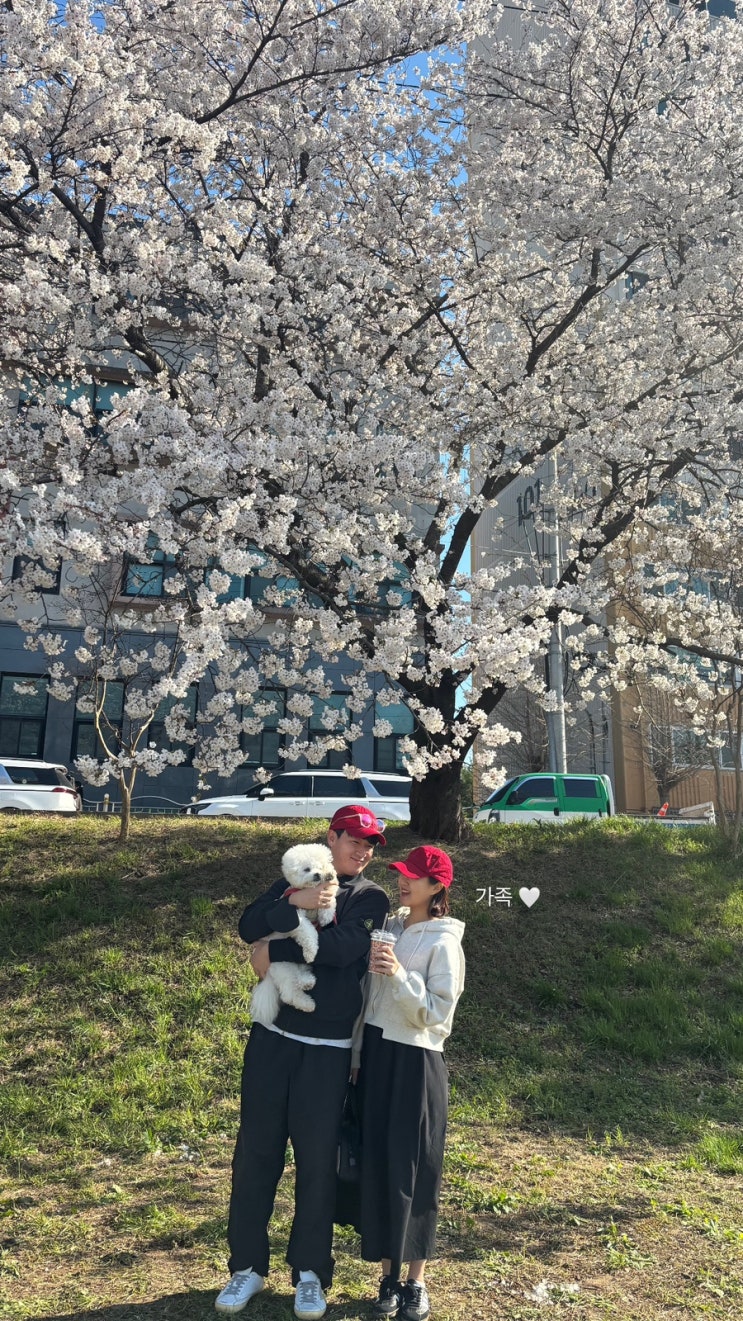 2025년 4월 일상 : 네이버 블로그