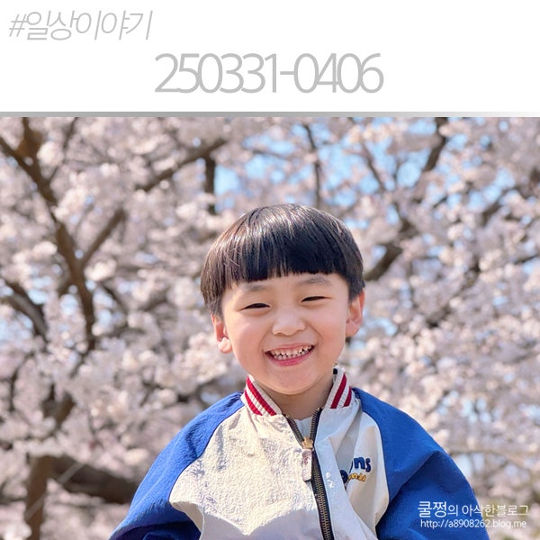 250331-0406일상/샨이2024~2030d@ 벚꽃이 피기 시작했당🌸 / 프리다이빙 체험 / 그리고 두통 시작 / 국기원 ...