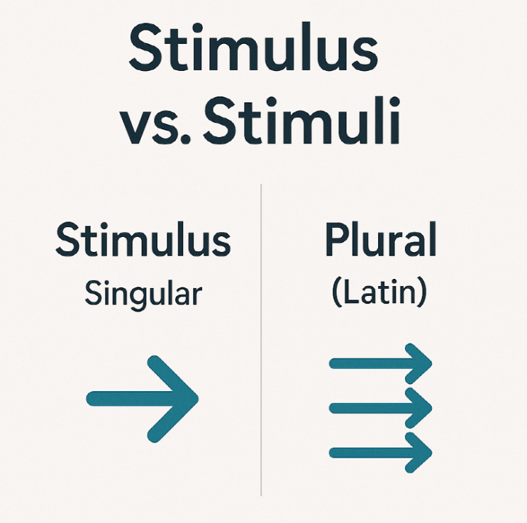 stimulus와 stimuli 헷갈리지 않게 정리하는 법 : 네이버 블로그