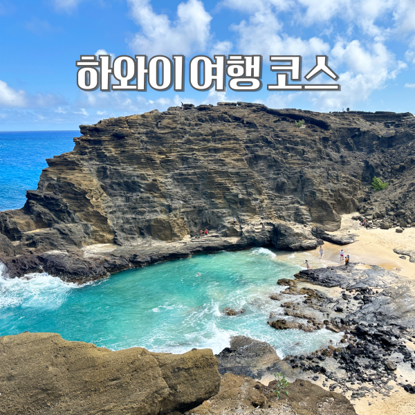 하와이 여행 코스 와이키키 트롤리 버스 노선 시간표 정리 : 네이버 블로그