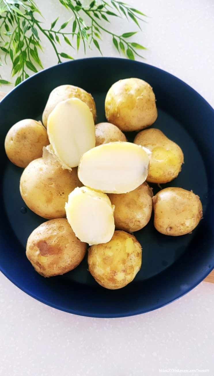 감자 삶는법 찜기 껍질채 감자 냄비 삶기 감자 찌는 시간 : 네이버 블로그