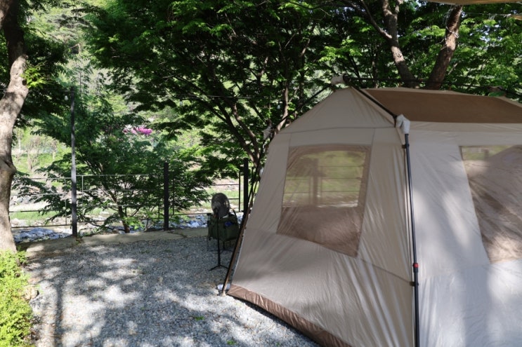 제천 엘림펜션캠핑장 B1 충주호 주변 그늘이 좋은 계곡캠핑장 : 네이버 블로그