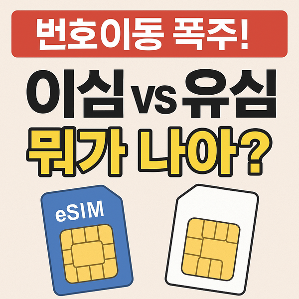 SKT 해킹 이후, ‘번호이동’하려는 당신이 꼭 알아야 할 eSIM vs USIM 차이 : 네이버 블로그