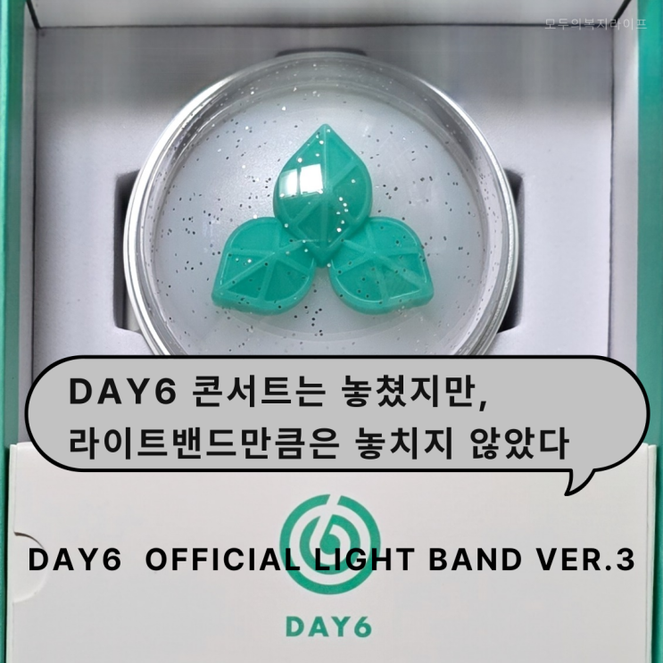 DAY6 콘서트는 놓쳤지만, 라이트밴드만큼은 놓치지 않았다 손목에 반짝이는 DAY6 OFFICIAL LIGHT BAND VER ...