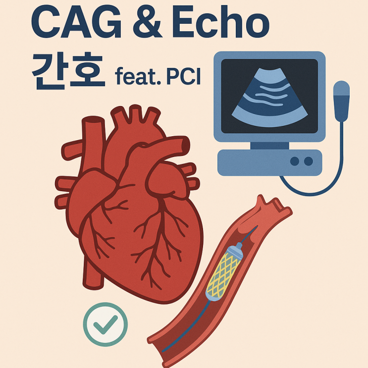 [간호사 공부] 의학용어 관상동맥조영술 CAG 간호 & echo 판독법 (feat. PCI & stent 시술 후 교육사항, 왼쪽팔에 18G를 잡아야하는 이유) : 네이버 블로그