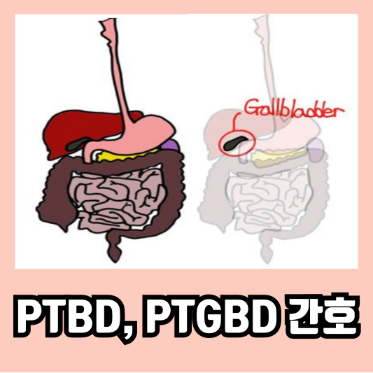PTGBD PTBD 담낭 배액관 차이점 및 기초 간호 알아보기 : 네이버 블로그