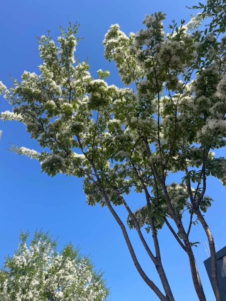 승진 탈락 | 긴 터널을 걸어도, 빛나지 않아도 괜찮아 : 네이버 블로그