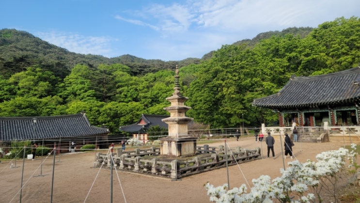 2025. 문경 답사3 [봉암사] : 네이버 블로그