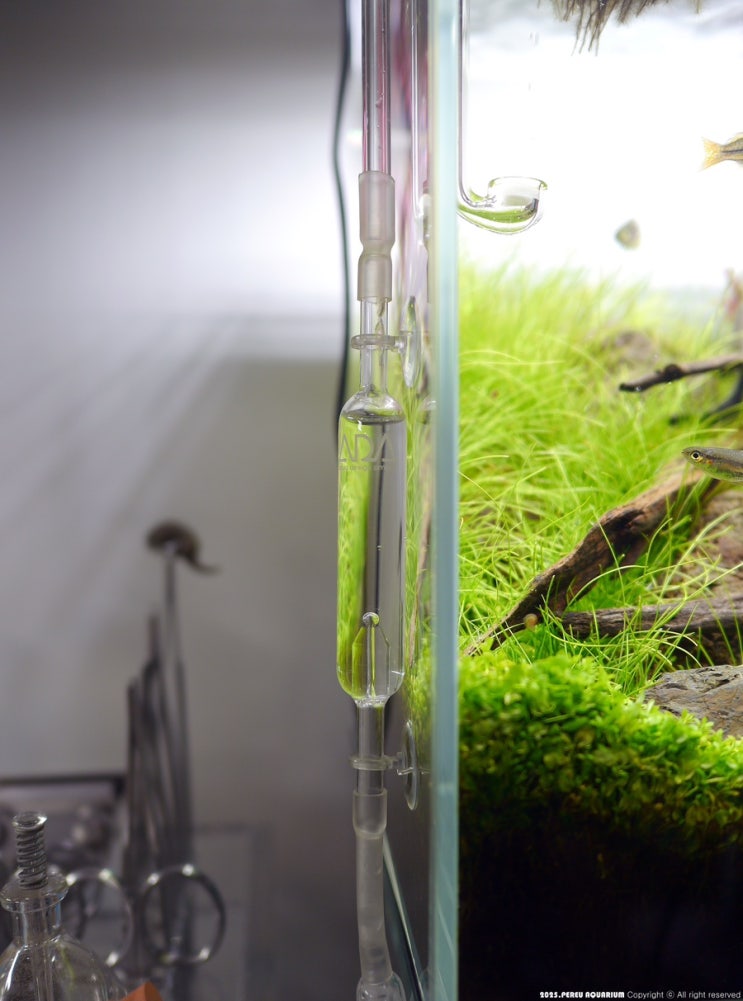 [ADA] ADA CO2 GLASS COUNTER (BUBBLE COUNTER).. : 네이버 블로그