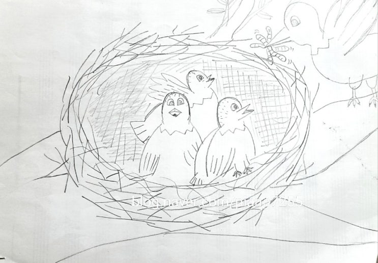 새 둥지화(Bird’s Nest Drawing: BND 검사) : 네이버 블로그