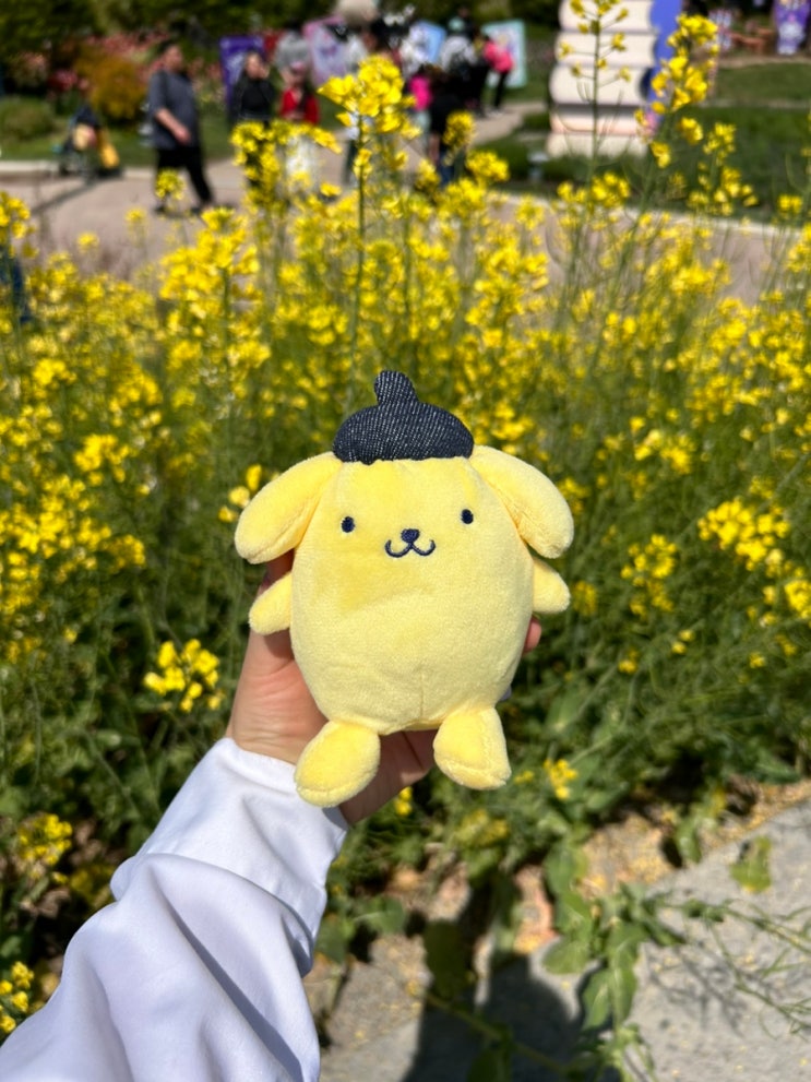 2025 Apr. 4월의 조각ㅣ다시 돌아온 산리오x에버랜드 알차게 즐기기 🎡💝 : 네이버 블로그