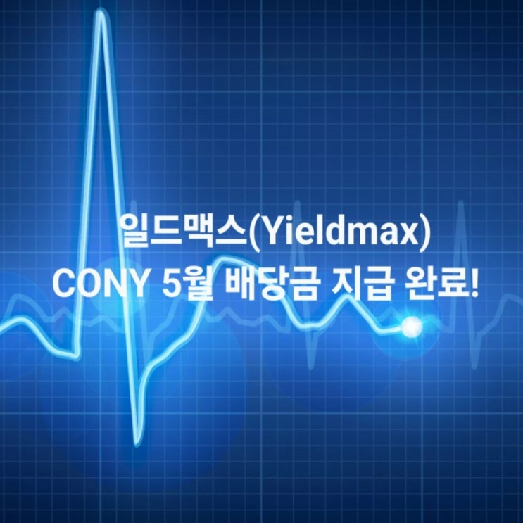 일드맥스(Yieldmax) CONY 5월 배당금 지급 완료! : 네이버 블로그