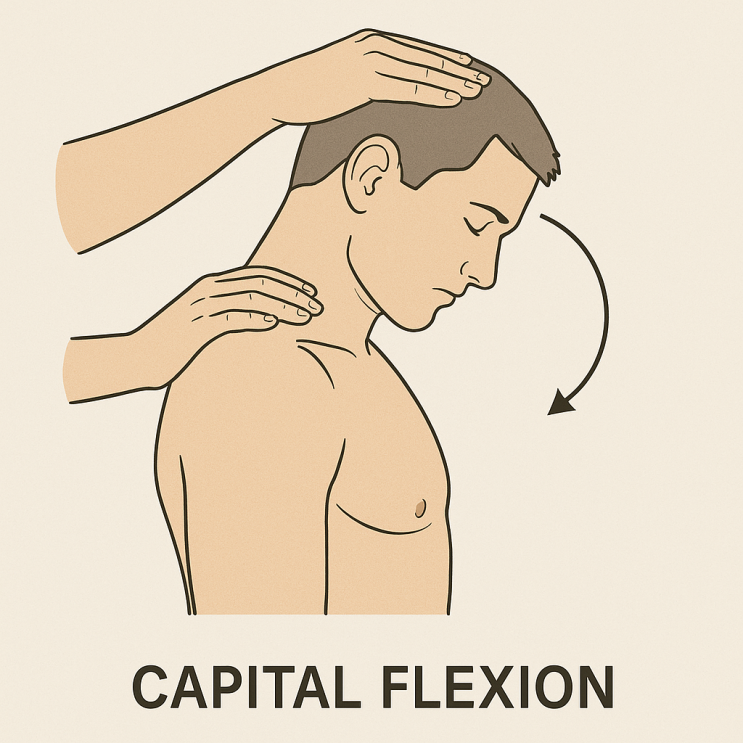 Capital Flexion – 도수근력검사 MMT 완벽 정리 : 네이버 블로그